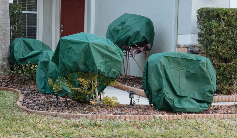 Wintervlies - Zeit für den Winterschutz im Garten!